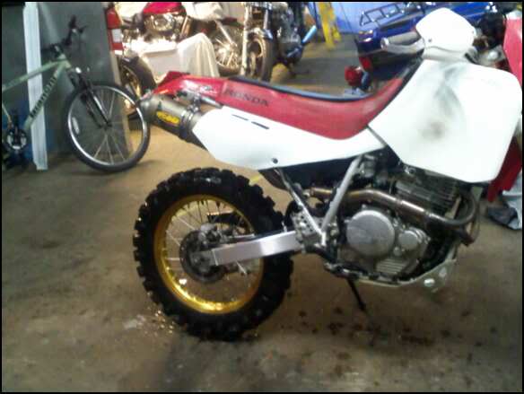I Like Gold......Rims - XR600R & XR650R/L - ThumperTalk